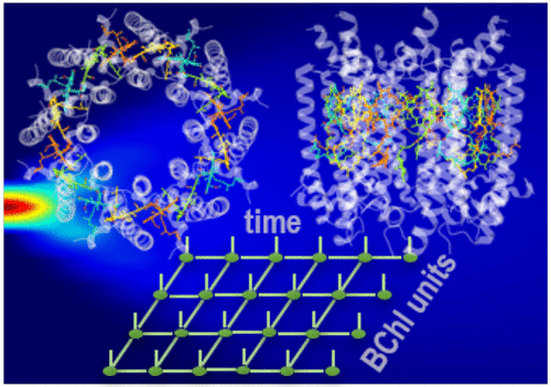 Tensor Network Path Integral Study of Dynamics in B850 LH2 Ring with Atomistically Derived ...